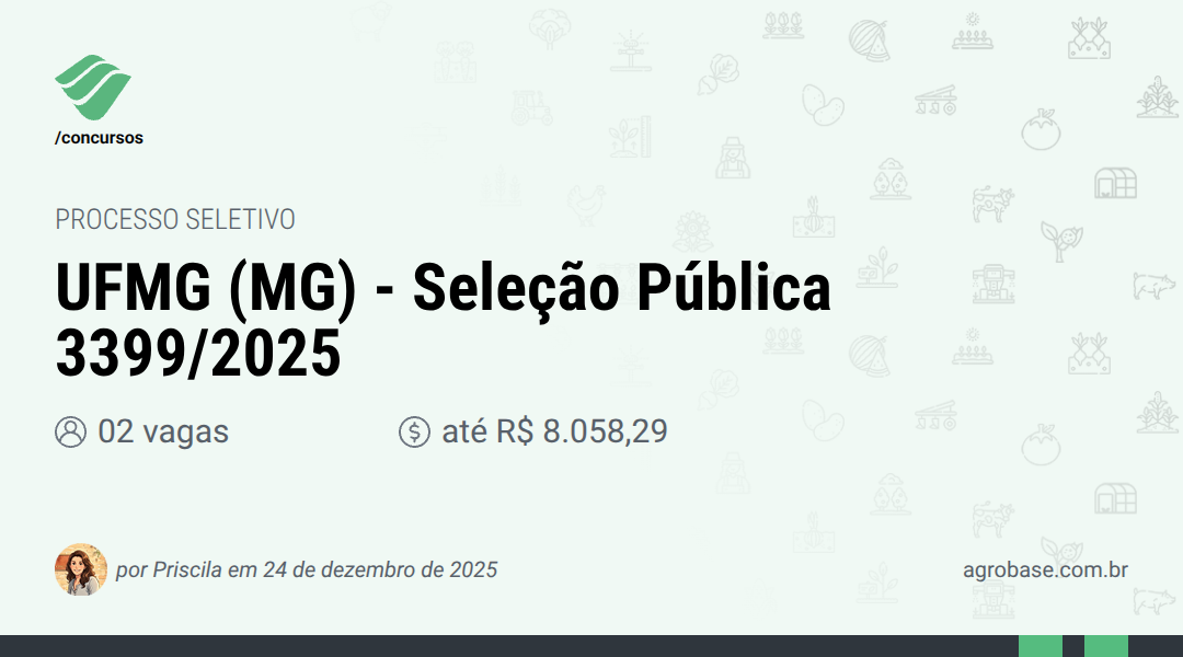 UFMG (MG) - Seleção Pública 3399/2025